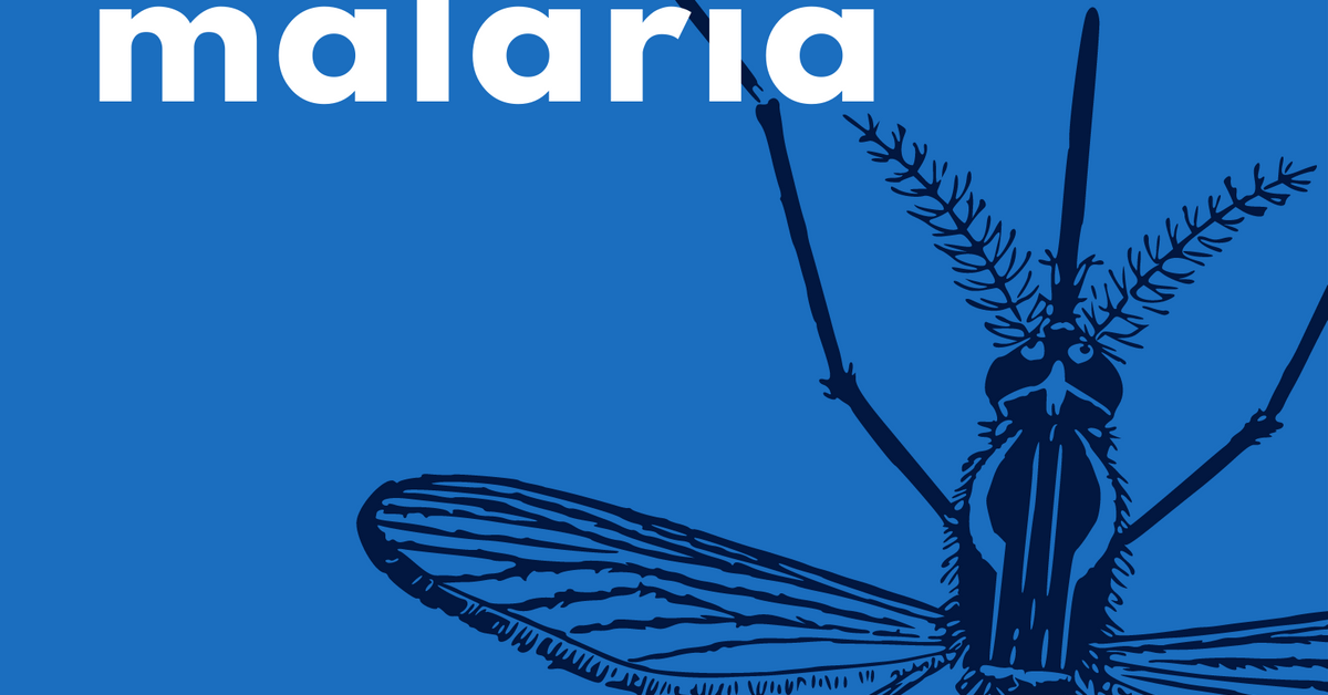 MedShr Learning | A guide to malaria pathophysiology and treatment